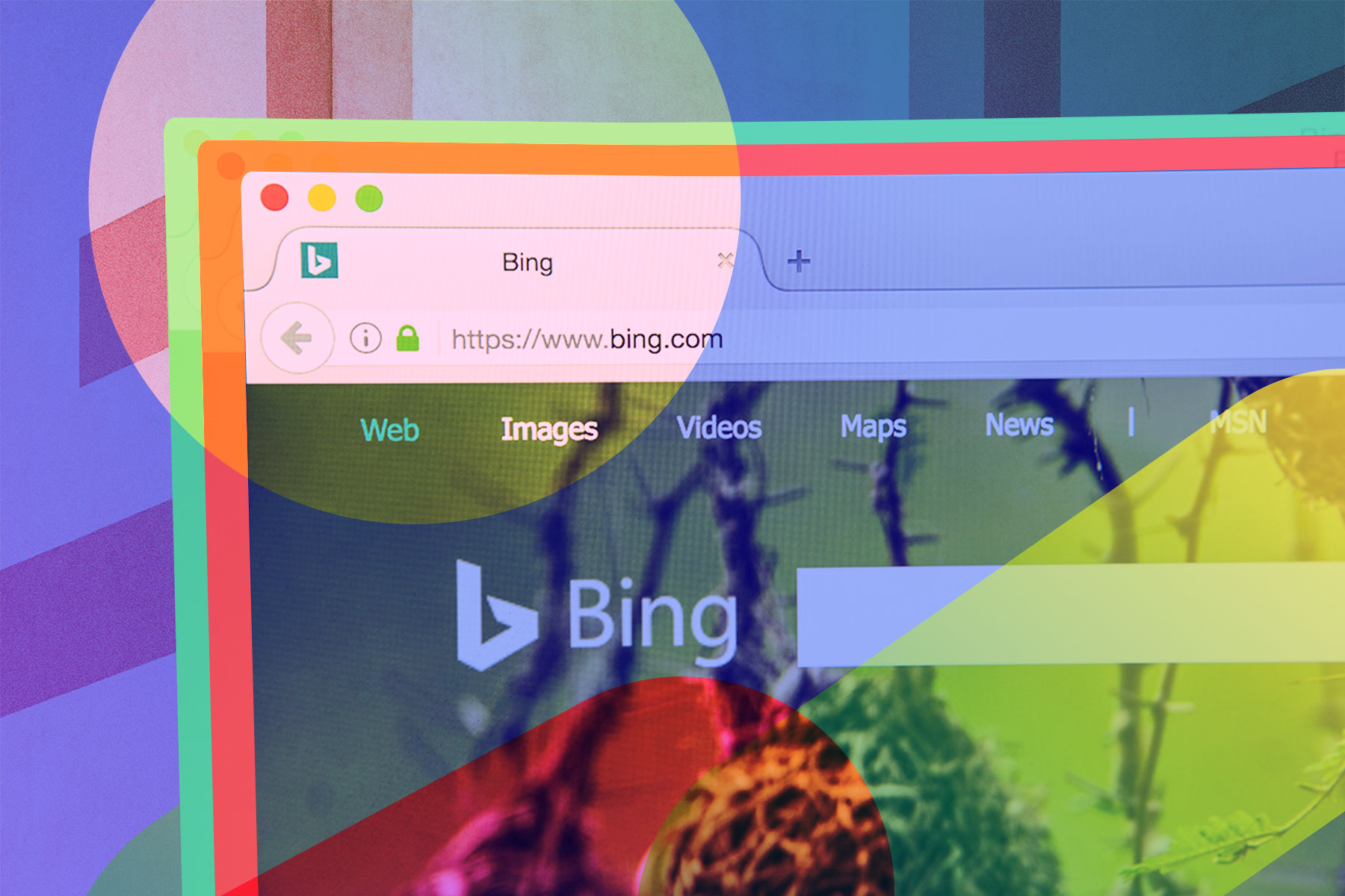 Bing: 11 años después y lejos de ser un fracaso | Digital Trends Español