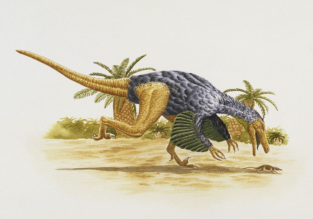 Hallan en Reino Unido un nuevo dinosaurio pariente del velociraptor ...