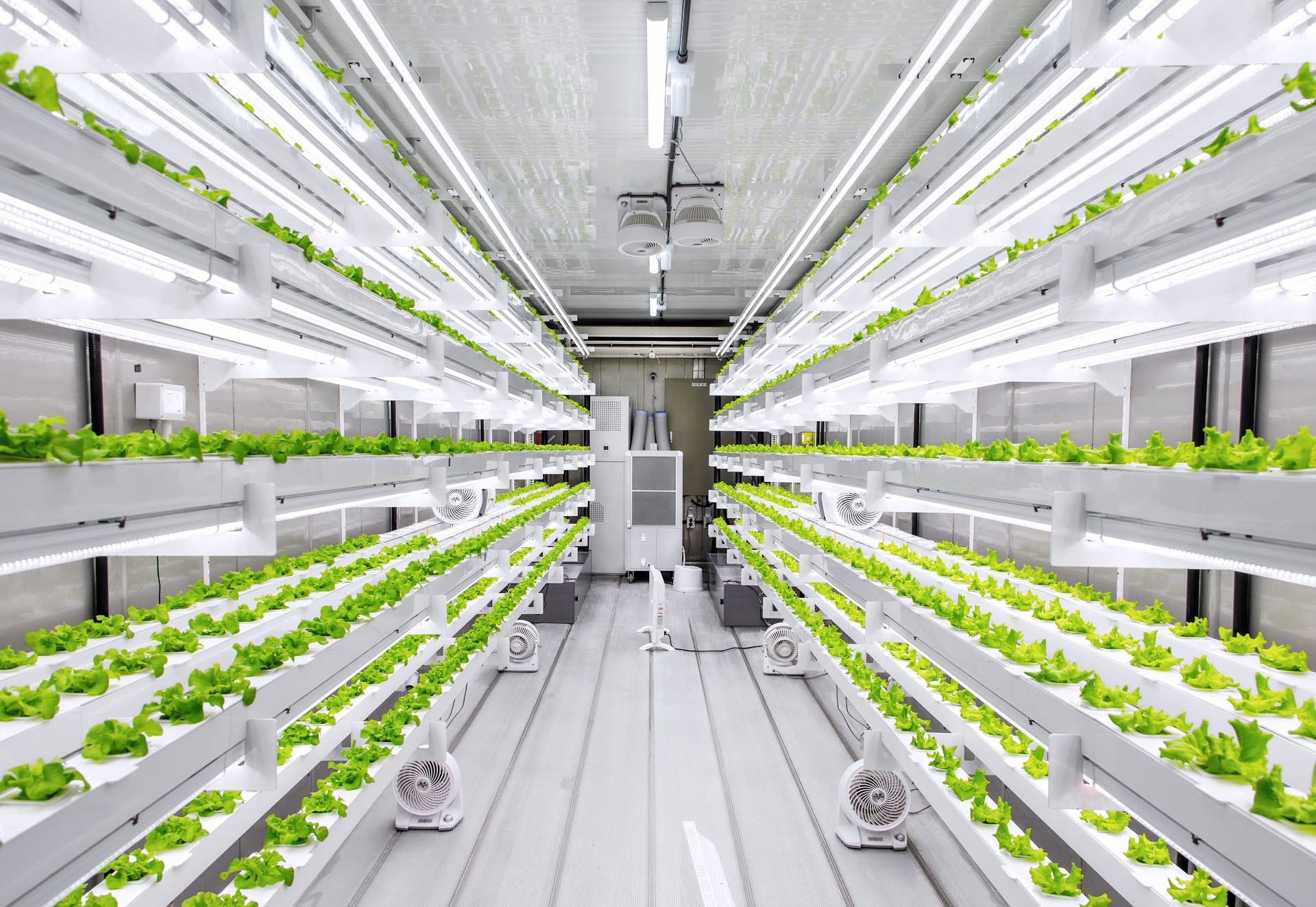 Las innovaciones foodtech que sorprendieron en CES 2022 | Digital ...