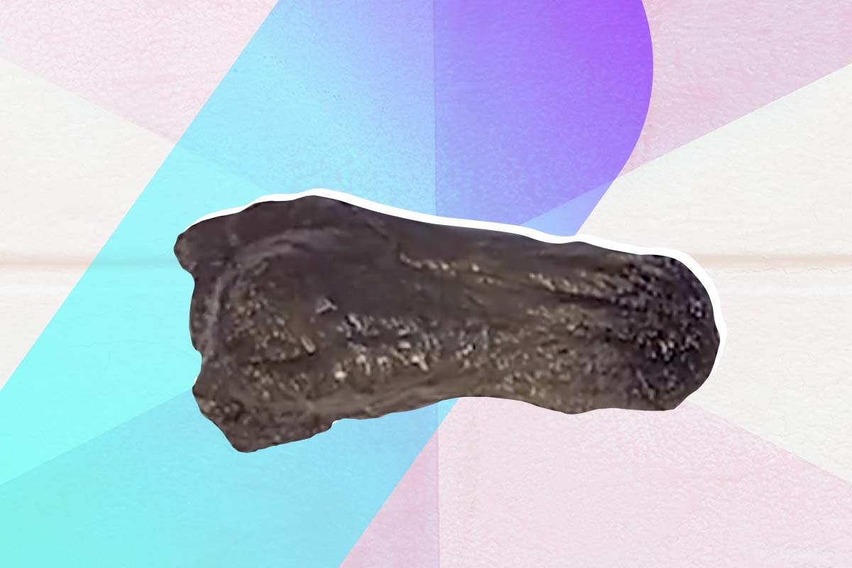 Esta “caca magnética” podría reparar el sistema digestivo | Digital ...